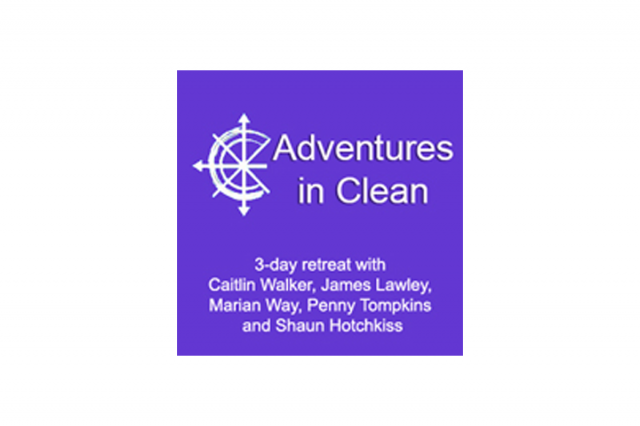 Learn Clean Language | Clean Learning