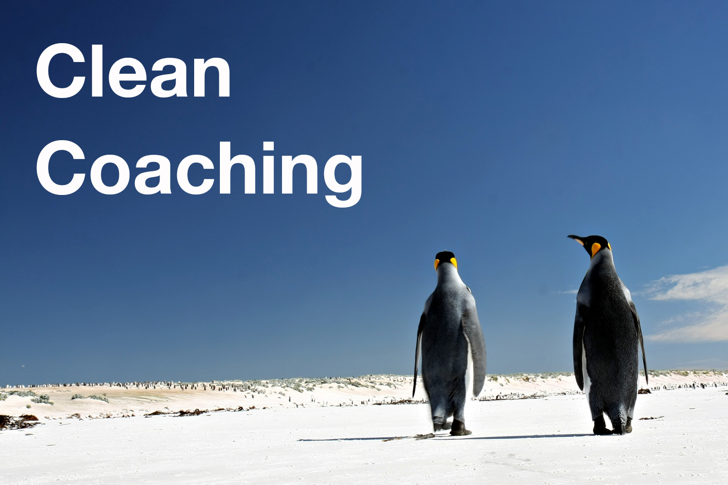 Get a Clean Language Coach - Clean Learning
